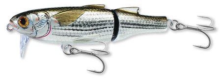 Live Target Mullet Wakebait Surface Walker Lure | Davo's Tackle Online