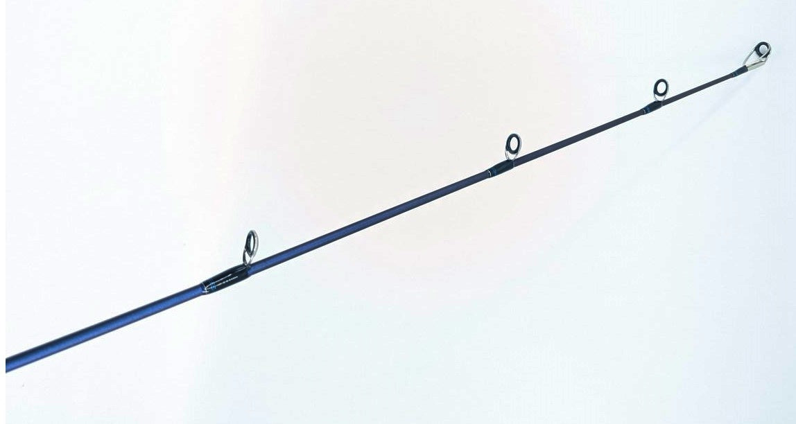 NS Black Hole Amped II Baitcast Rod | Davo's Tackle Online